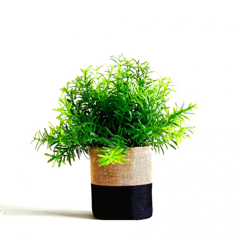 Contact - Devon Pond Plants