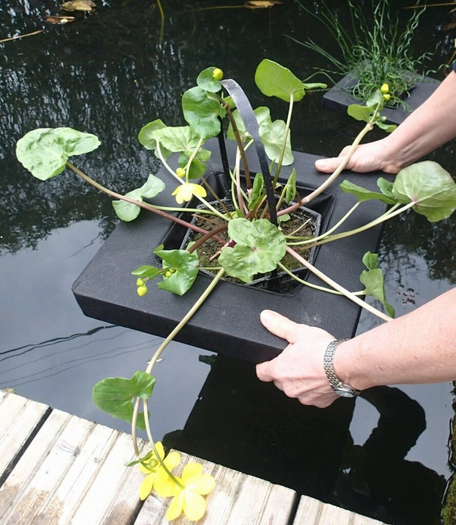 FLOATING BASKET LARGE - Devon Pond Plants