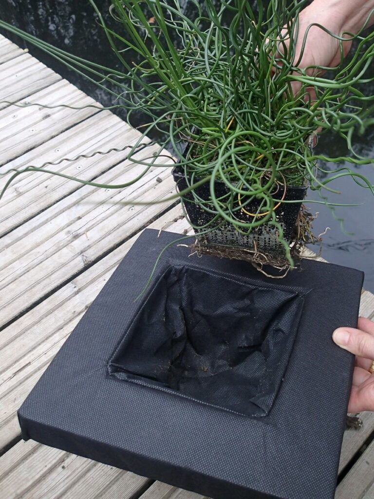 FLOATING BASKET SMALL - Devon Pond Plants